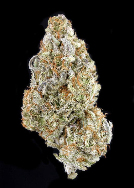 Dark Shadow Haze – Golden Leaf